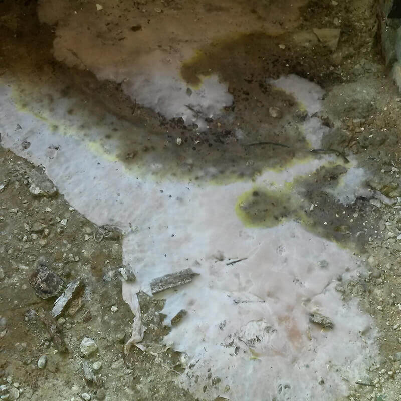 Dry Rot Treatment Specialists - Biocraft South West