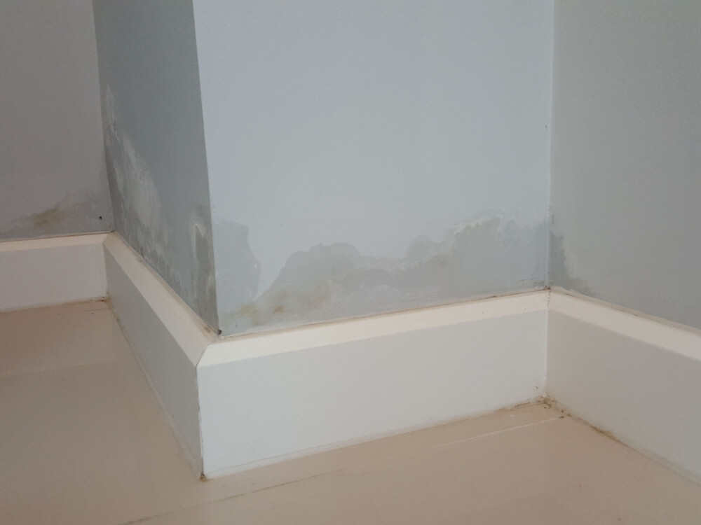 How To Treat Rising Damp This Autumn - Damp Proofing & Basement Conversions