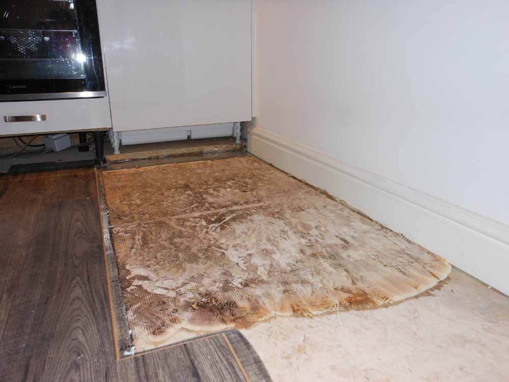 Dry Rot - Damp Proofing & Basement Conversions