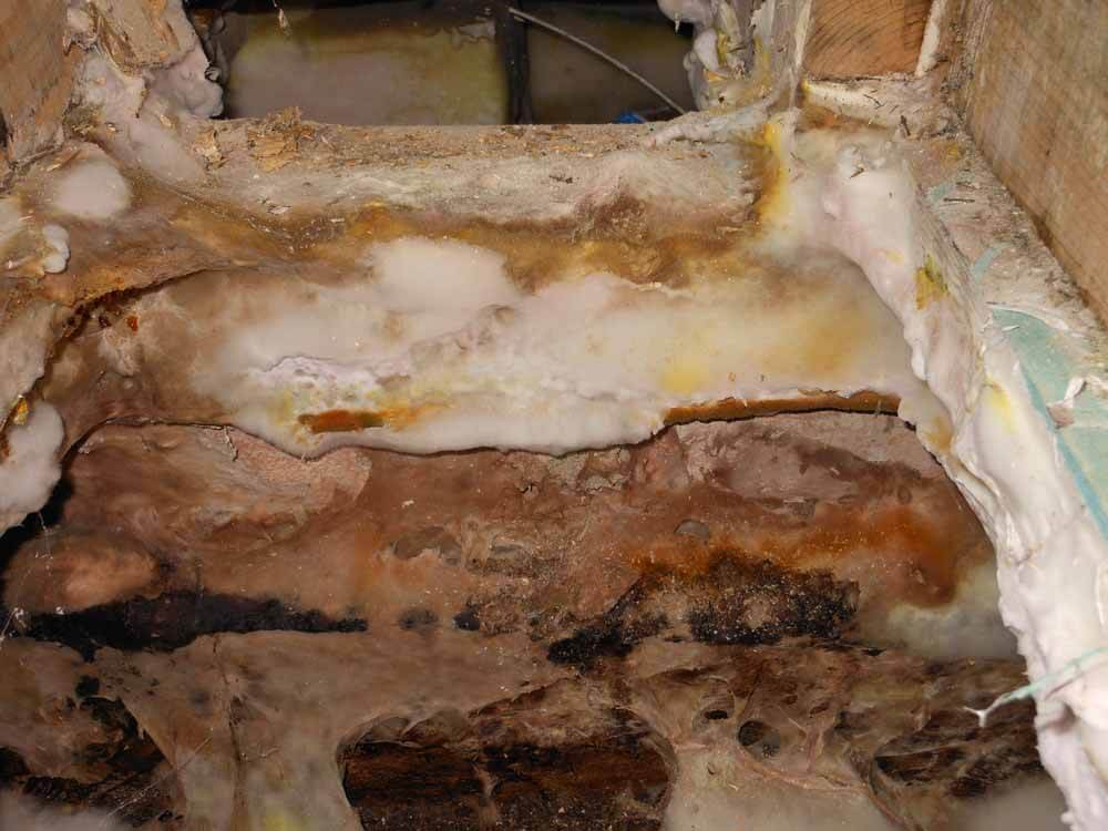 Dry Rot - Damp Proofing & Basement Conversions