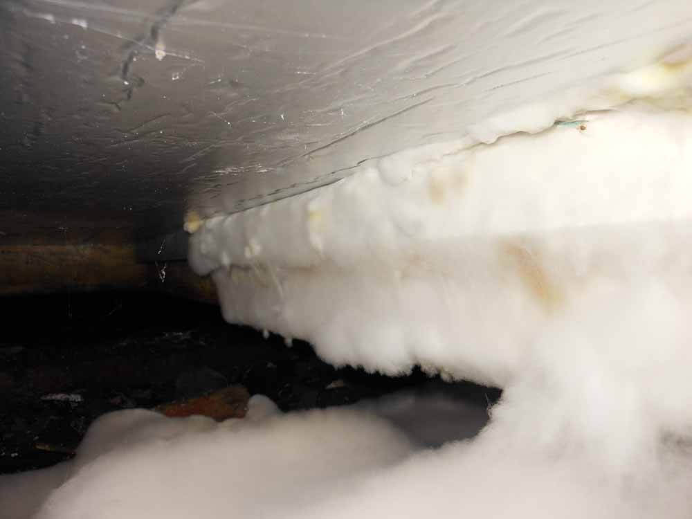 Dry Rot - Damp Proofing & Basement Conversions