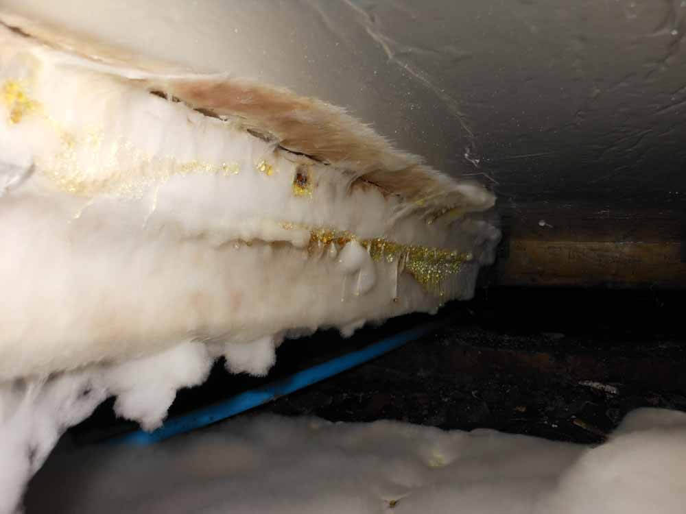 Dry Rot - Damp Proofing & Basement Conversions