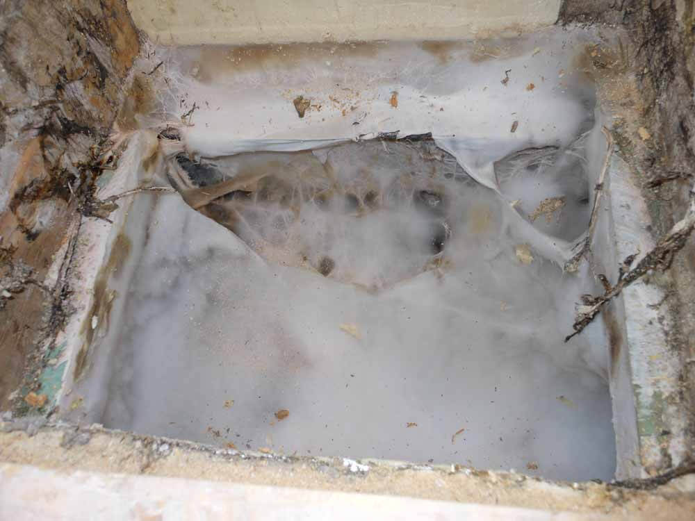 Dry Rot - Damp Proofing & Basement Conversions