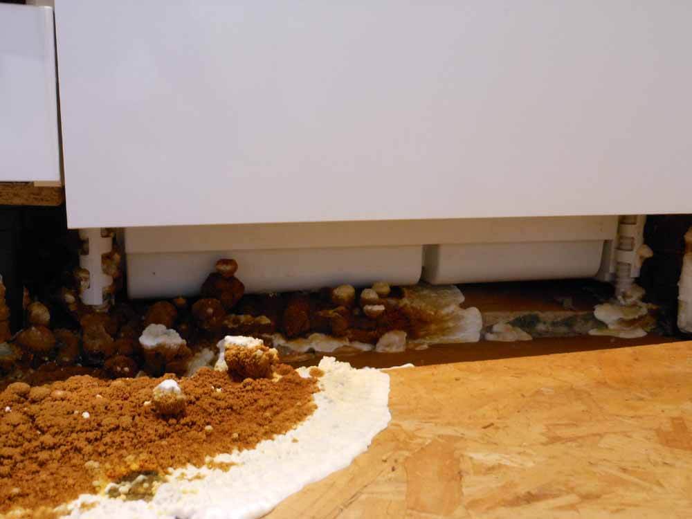 Dry Rot - Damp Proofing & Basement Conversions